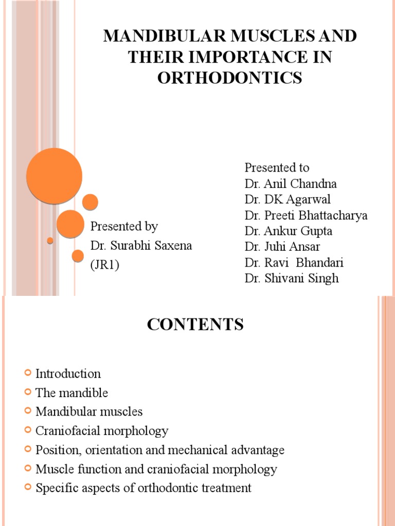 Mandibular Muscles and Their Importance in Orthodontics | PDF | Human ...