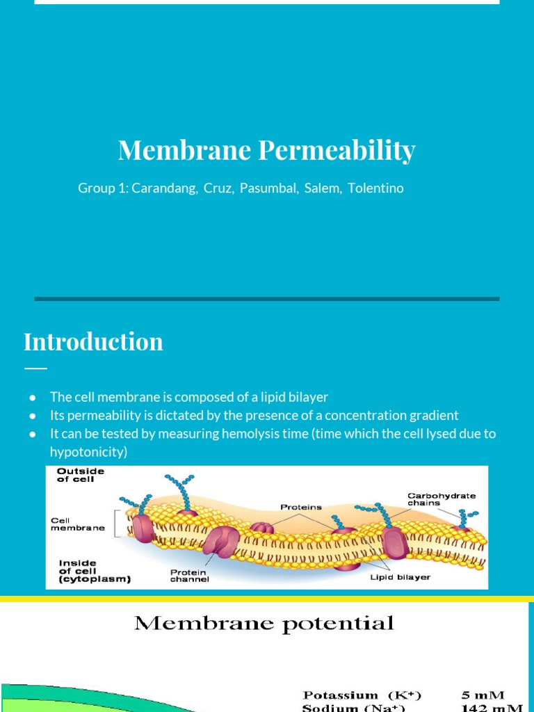 Membrane Permeability and Hemolysis Analysis | PDF | Chemistry ...