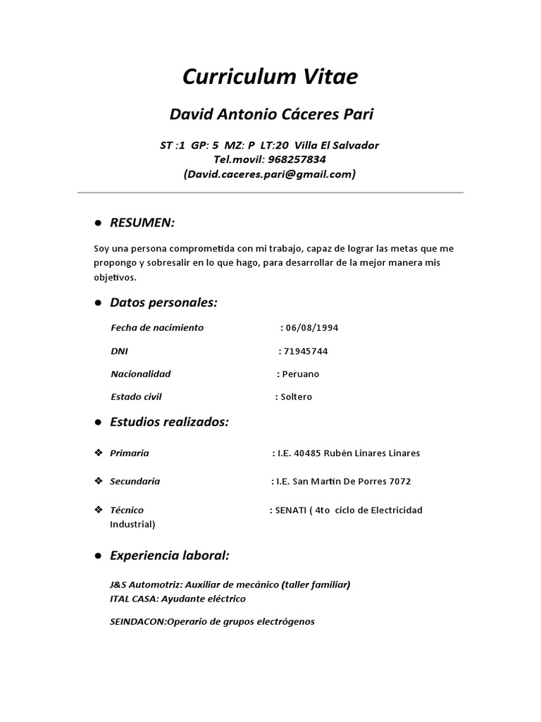 Curriculum David | PDF