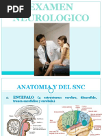 Test de Isaacs | PDF