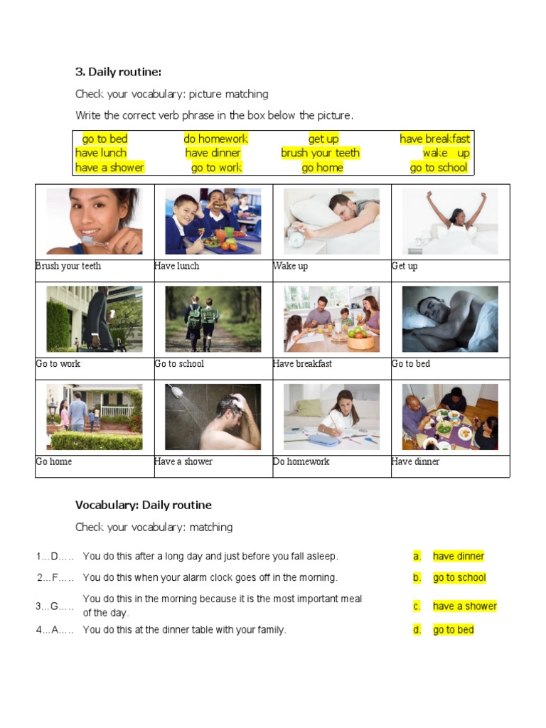 Daily routine vocabulary matching, gap fill, and reordering | PDF | Lunch