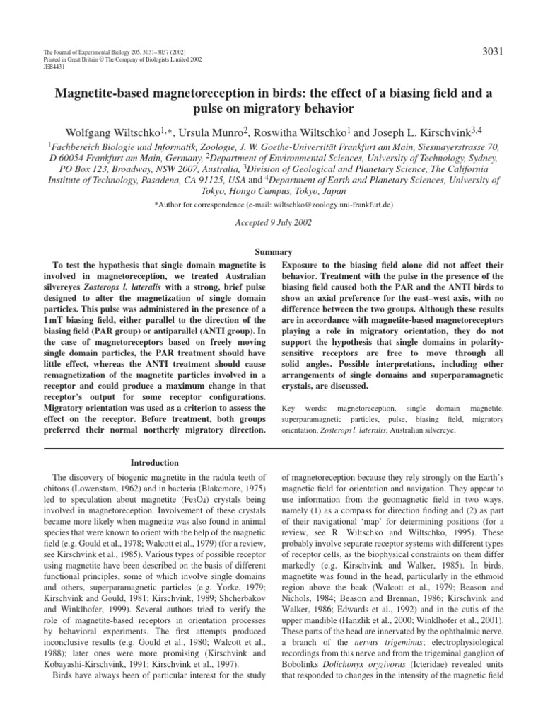 Wiltschko Et Al. - 2002 - Magnetite-Based Magnetoreception in Birds ...