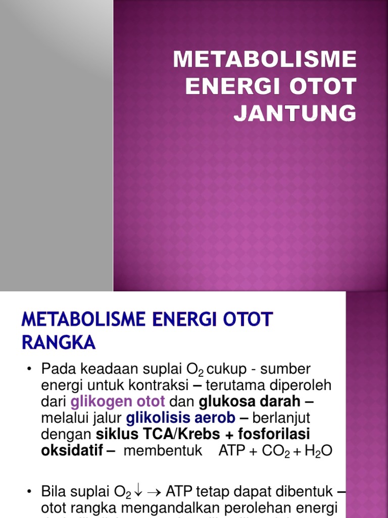 Metabolisme Energi Otot Jantung PDF | PDF