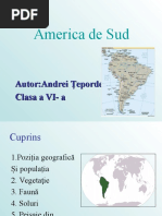 Interpretare Teste Initiale 2019-2020 | PDF