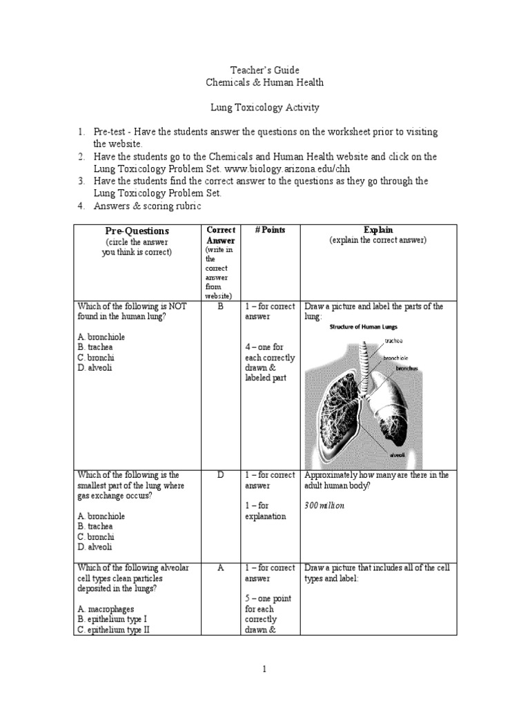 Pre-Questions: Correct Answer # Points Explain | PDF | Respiratory ...