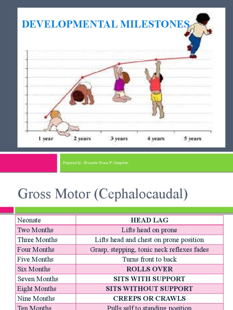 Key Baby Development Milestones | PDF | Infants | Nature