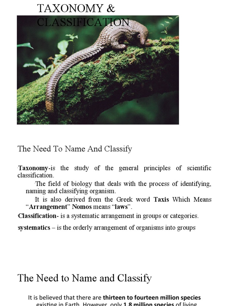 Taxonomy and Classification | PDF | Taxonomy (Biology) | Plants