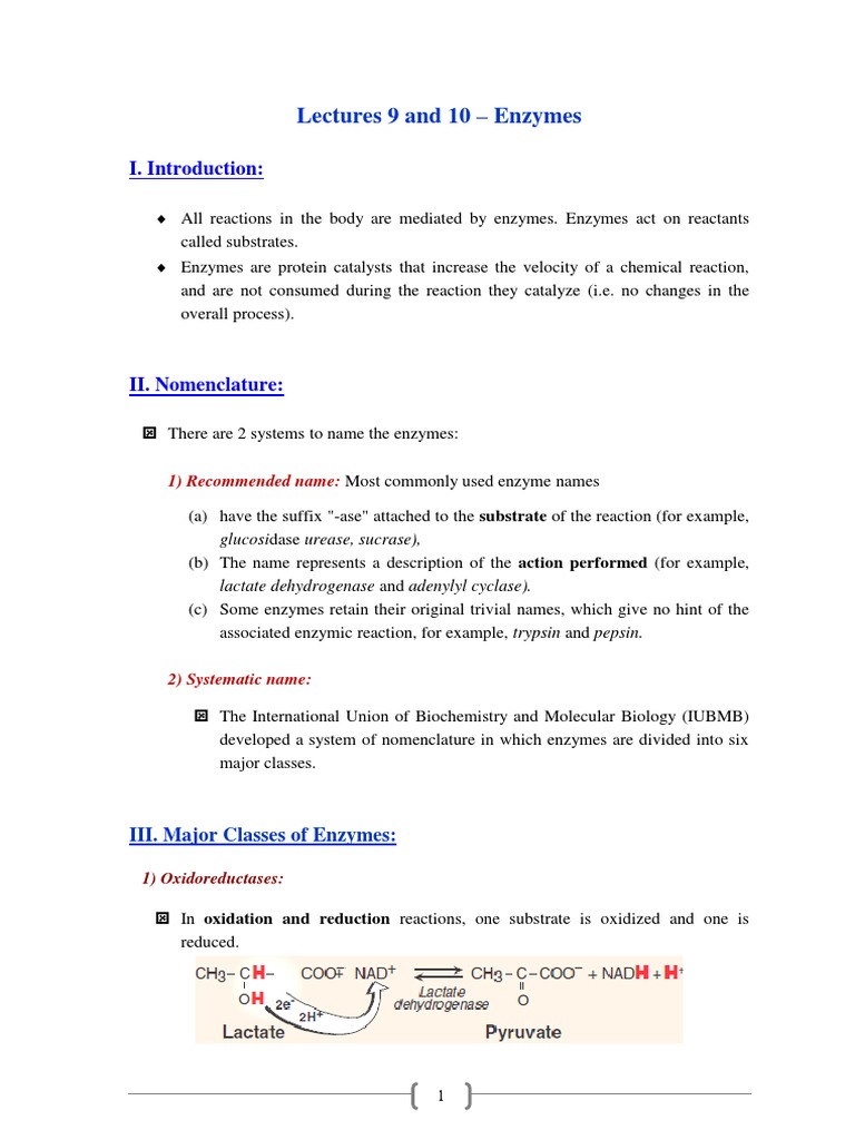 Lectures 9 and 10, Enzymes | PDF | Cofactor (Biochemistry) | Enzyme