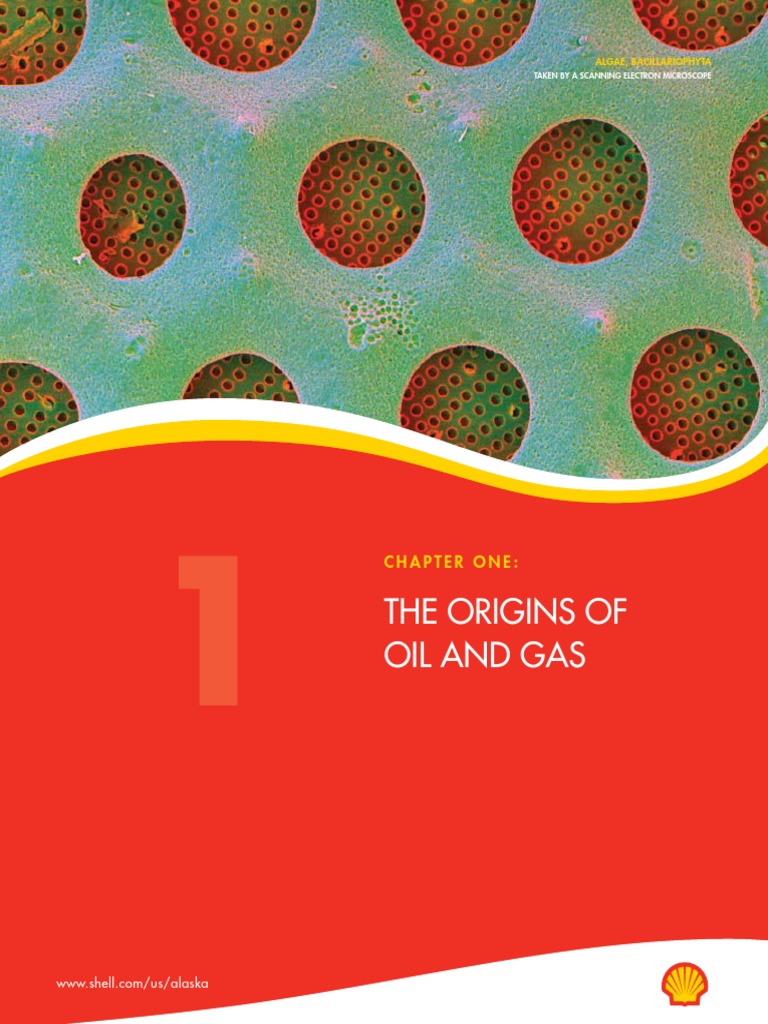 Shell Offshore 101 | Download Free PDF | Petroleum Reservoir | Petroleum