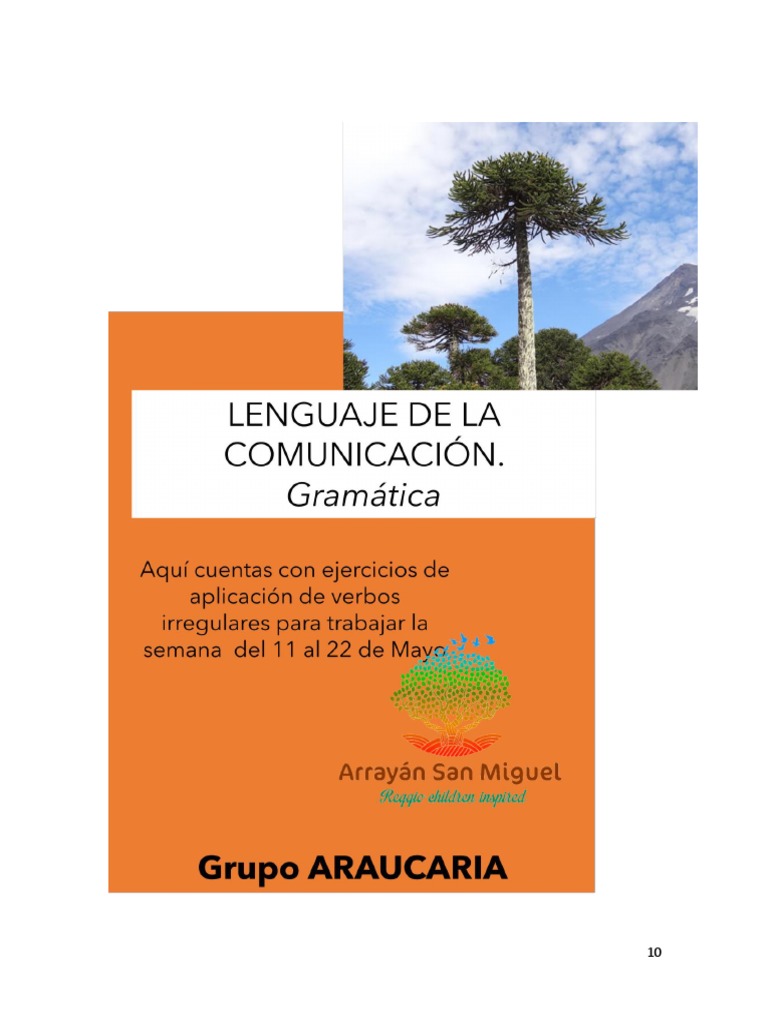Guía de Verbos 6to PDF | PDF | Conjugación gramatical | Verbo