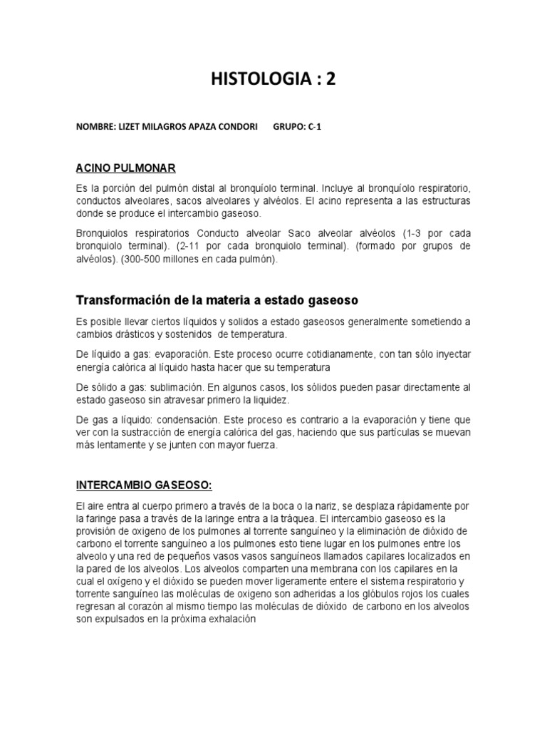 Acino Pulmonar C-1 | PDF