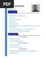 CURRICULUM VITAE BASICO Paola | PDF