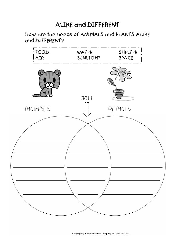 1plants and Animals | PDF