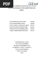 Ficha Tecnica Rampla Extensible | PDF | Eje | Suspensión (Vehículo)