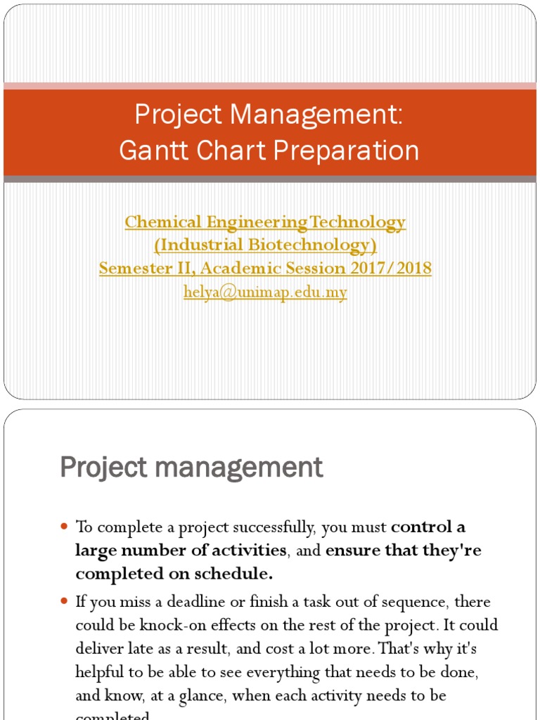 Gantt Chart Guide for Project Management | PDF | Project Management ...
