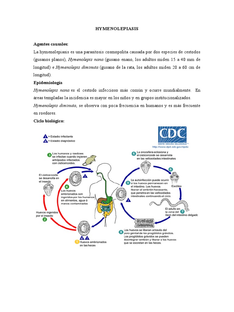 HYMENOLEPIASIS | PDF | Especialidades Medicas | Medicina CLINICA
