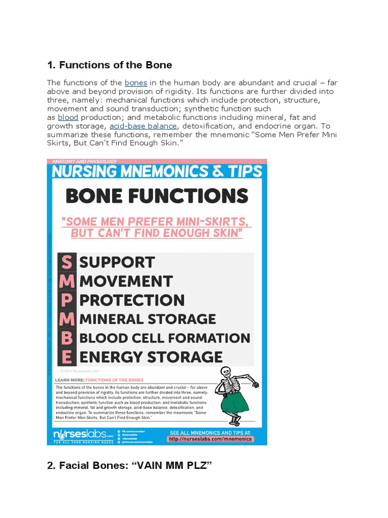 Functions of The Bone: Bones | PDF | Science & Mathematics