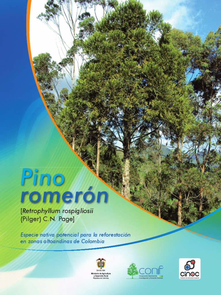 Pino Romeron | PDF | Naturaleza | Organismos