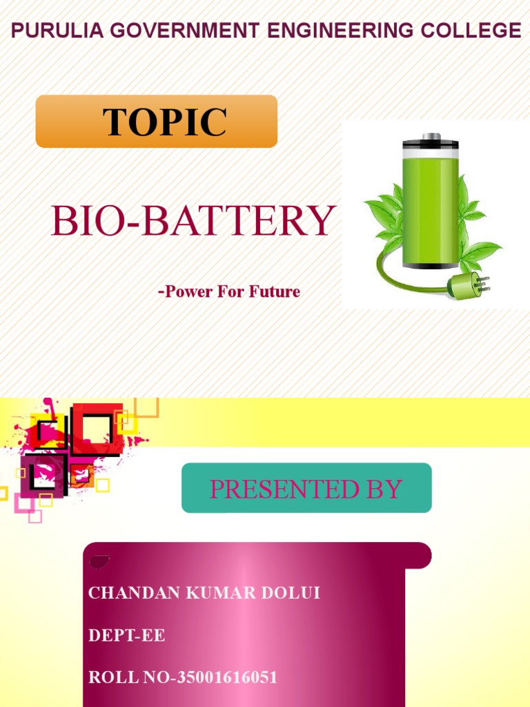 Bio Battery | PDF