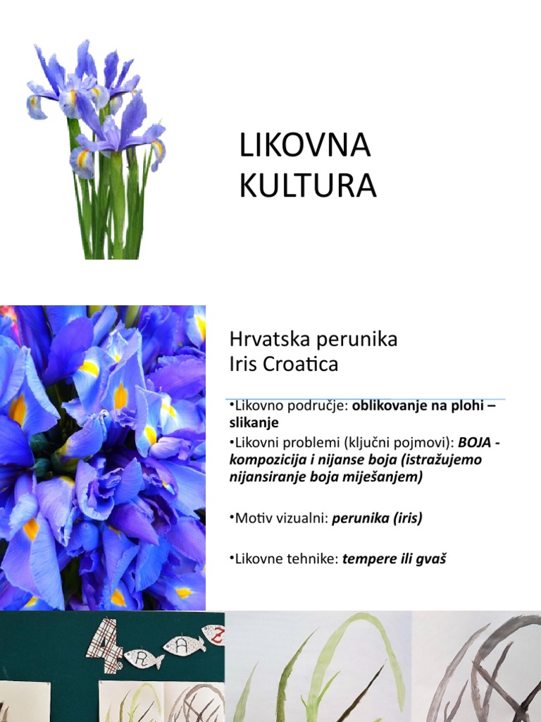 Likovna Kultura | PDF