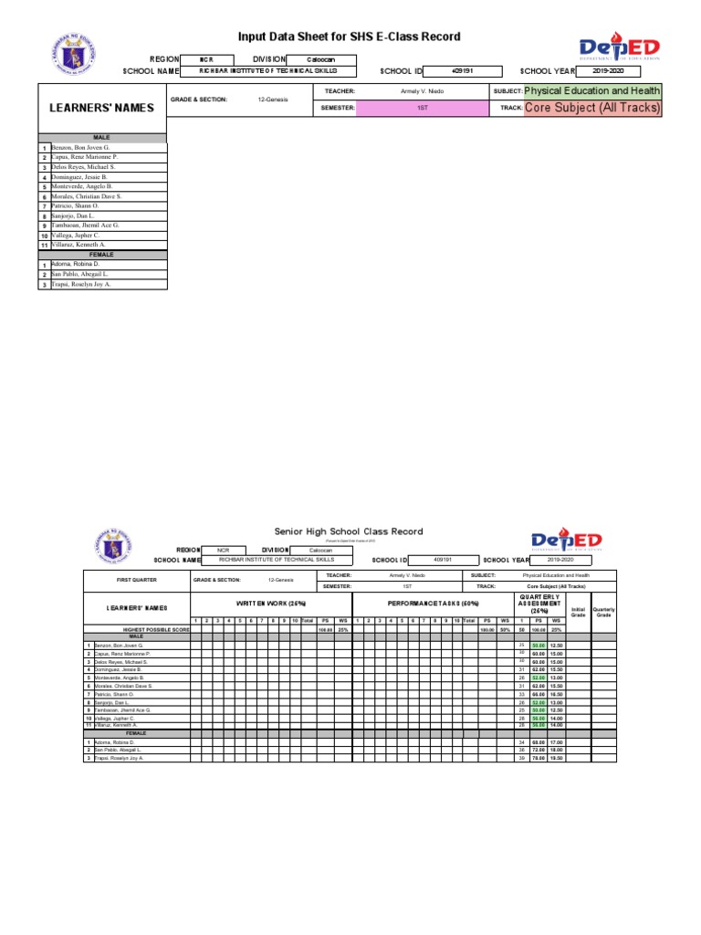 Input Data Sheet For SHS E-Class Record: Learners' Names | PDF | Learning | Behavior Modification