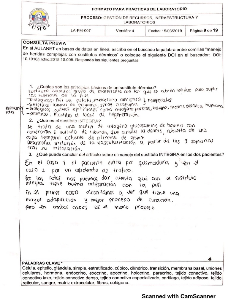 CamScanner Users' Guide | PDF