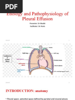 Ballard Score: Neuromuscular Maturity 1. Posture | PDF | Anatomical ...