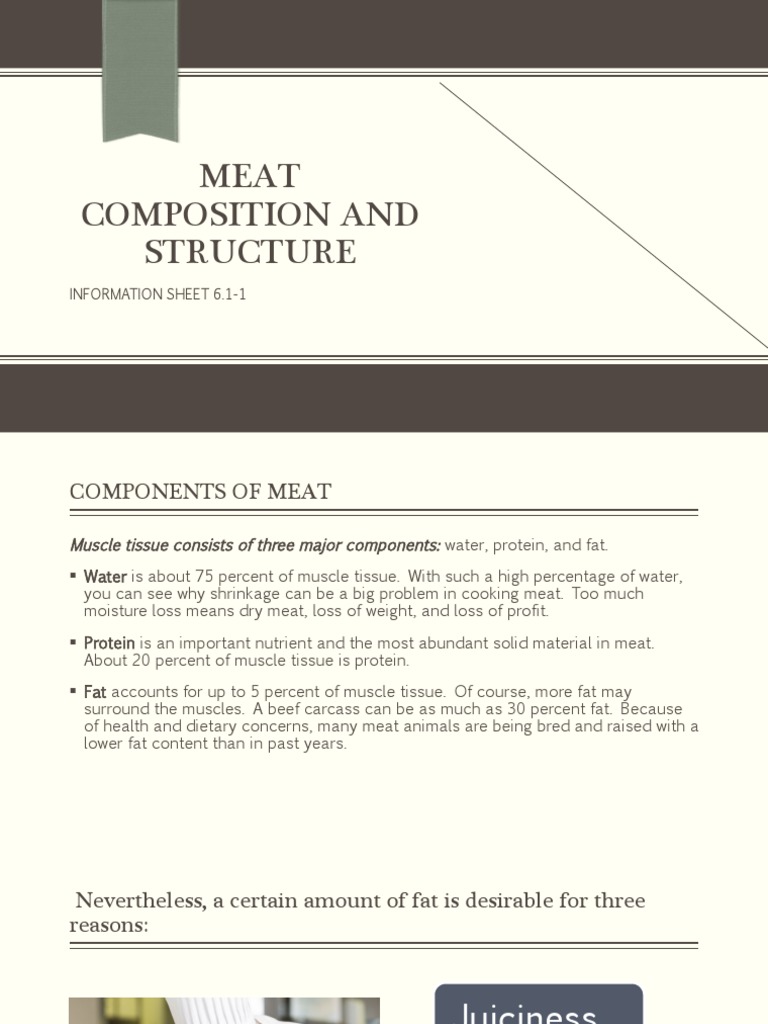 Meat Composition and Structure Overview | PDF | Meat | Muscle