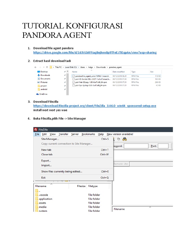Pandora Agent Setup Guide | PDF