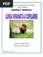 Planificare Activitate Metodica Educatoare | PDF