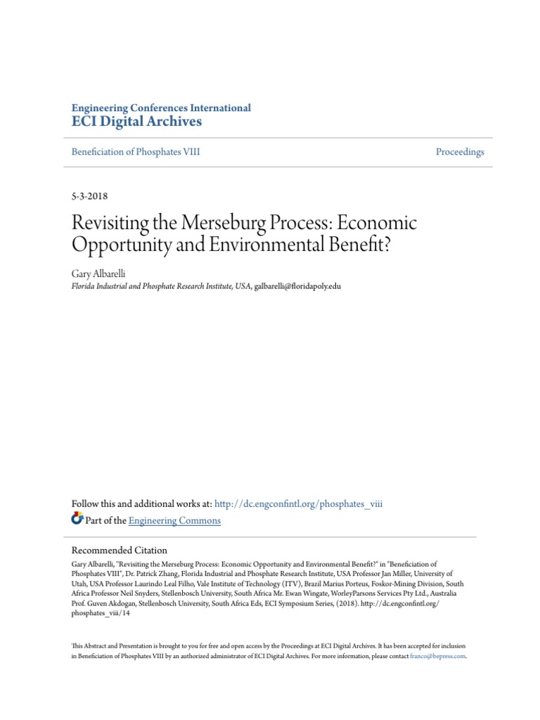 Revisiting The Merseburg Process Economic Opportunity and Enviro | PDF ...