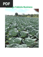 Temo Letlotlo Guidelines | PDF | Loans | Agriculture