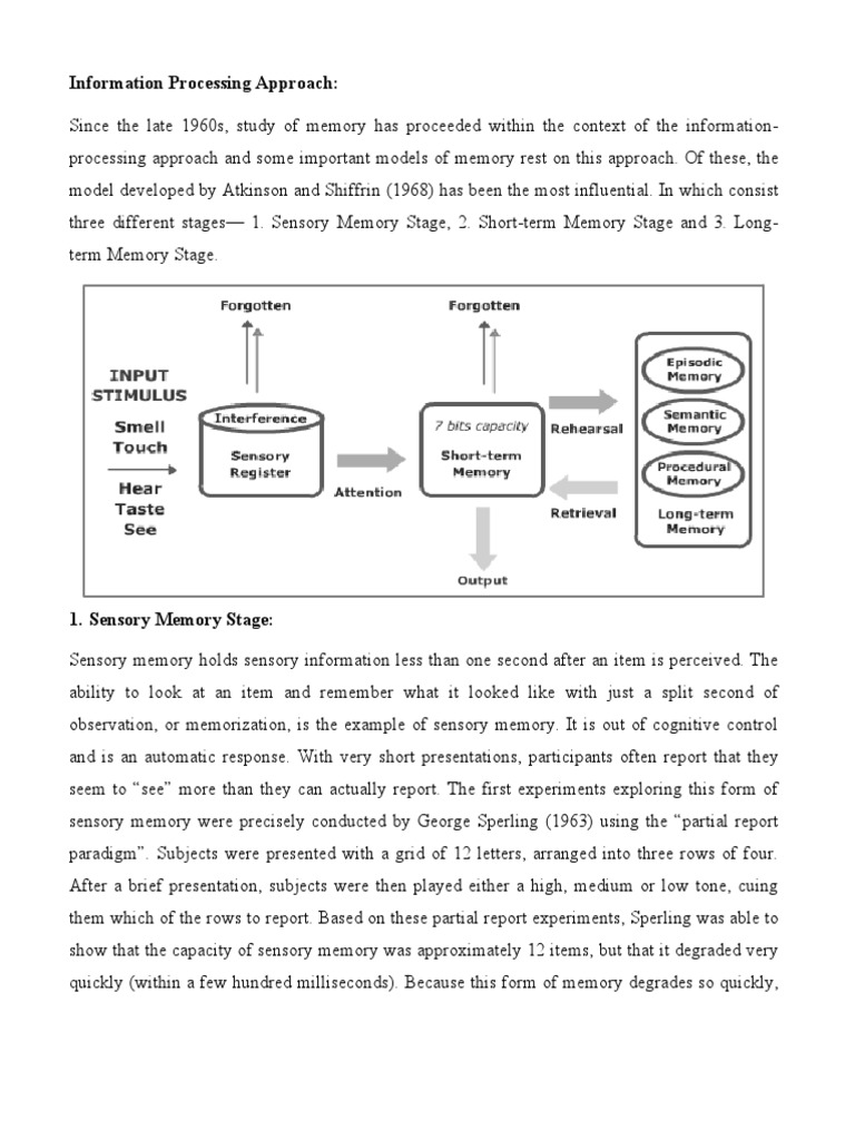 Information Processing Approach | PDF | Memory | Long Term Memory