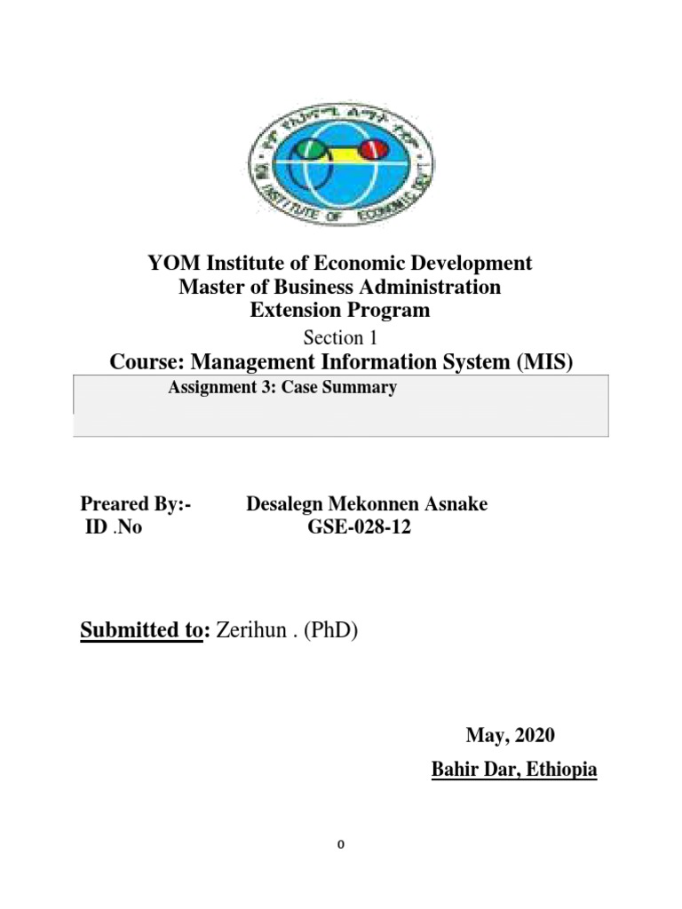 MIS Assignment 3 | PDF | Information System | Management Information System