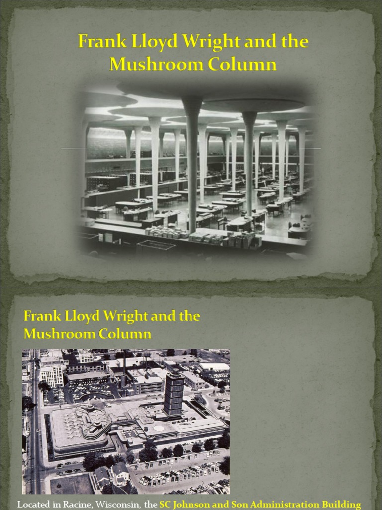 Wrights Mushroom Column | PDF | Economic Sectors | Building Engineering