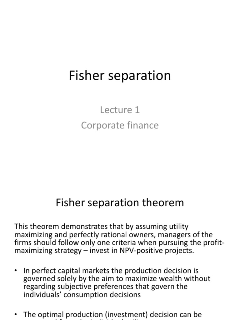 Fisher Separation Theorem Explained | PDF | Utility | Dividend