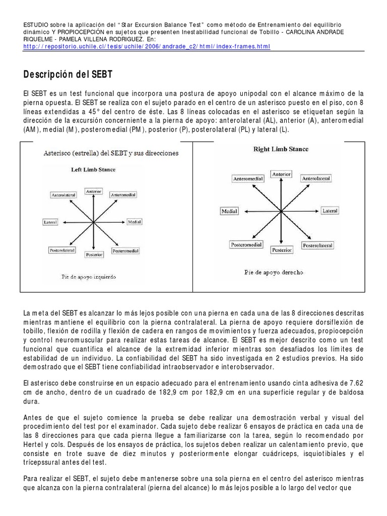 Descripción Del SEBT PDF | PDF | Tobillo | Pie