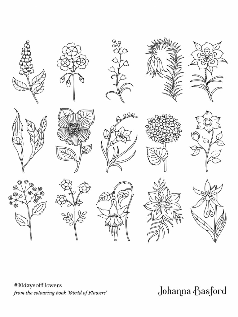 30 Days Download 2 | PDF