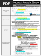 Nephrology Mnemonics Guide | PDF | Kidney Disease | Kidney
