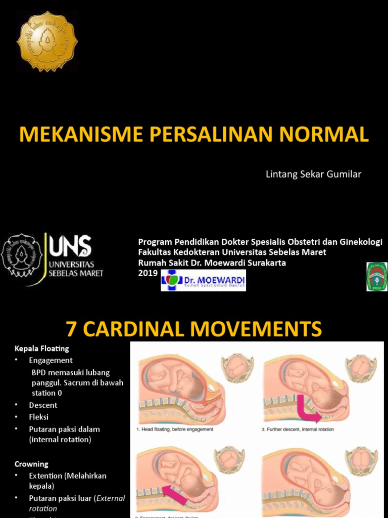 7 Cardinal Movements | PDF