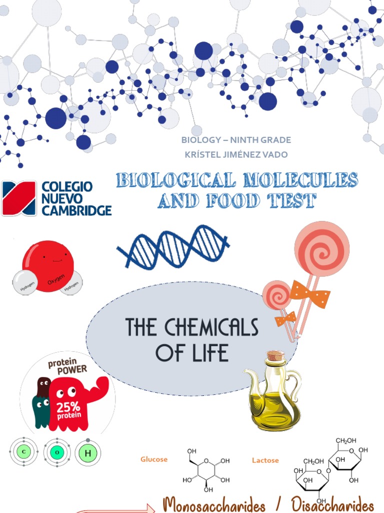 Biological Molecules in Food Testing | PDF