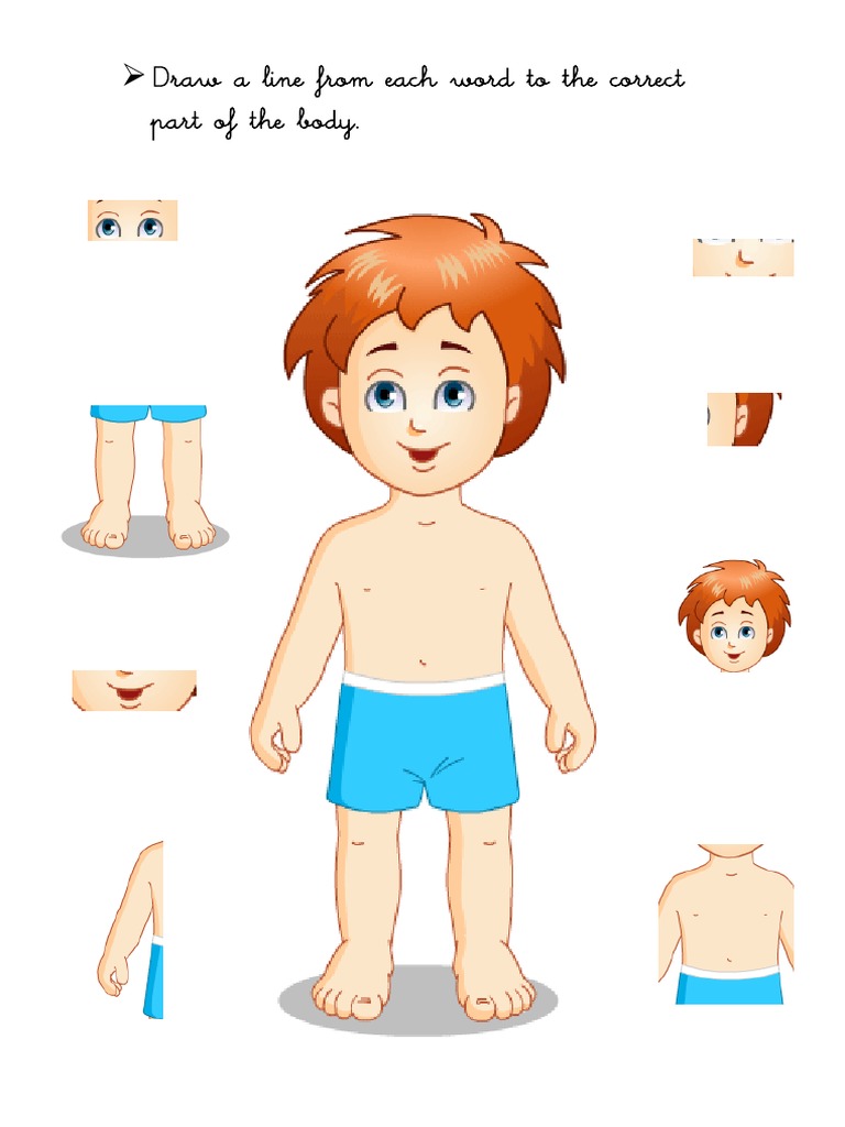 Body - Emotions Worksheet | PDF