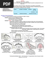BIOPSIA Incisional e Excisional | PDF | Causas de morte | Medicina Clínica