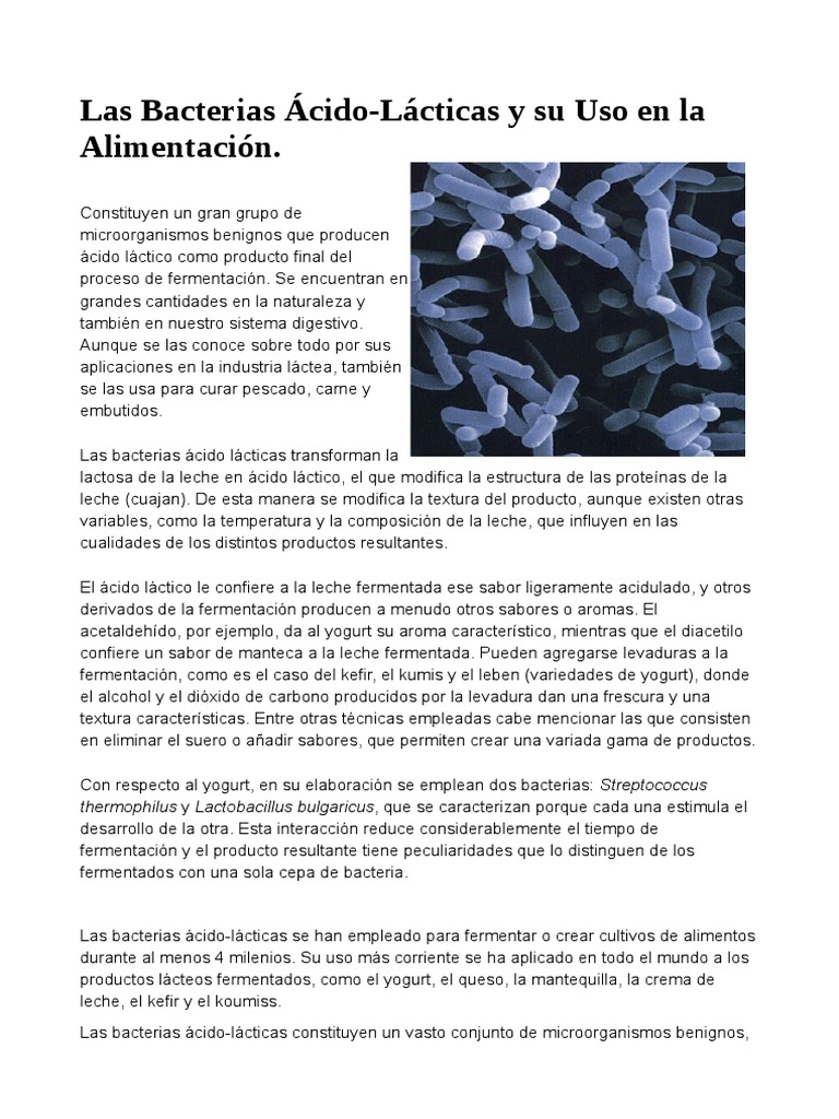 Bacterias Ácido-Lácticas, Aliadas en Alimentación | PDF | Yogur | Leche