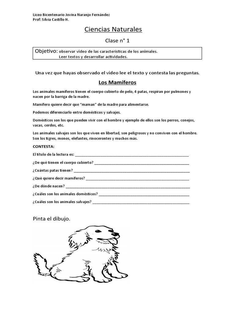 Clase 2 Ciencias Naturales | PDF | Aves | Mamíferos