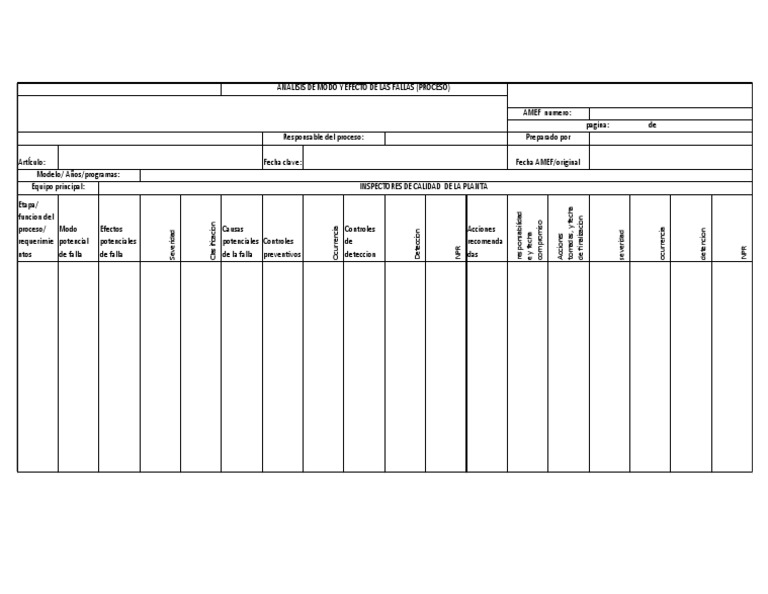 Formato AMEF | PDF | Informática y tecnología de la información | Business