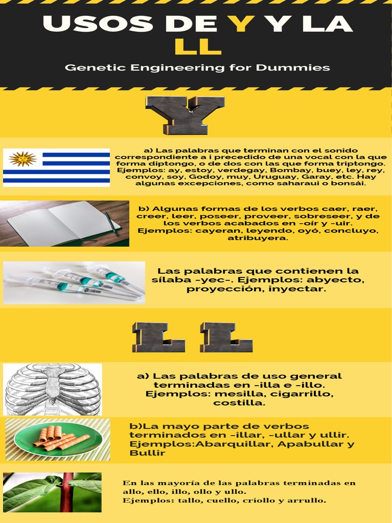 Usos de La Y y La Doble L | PDF