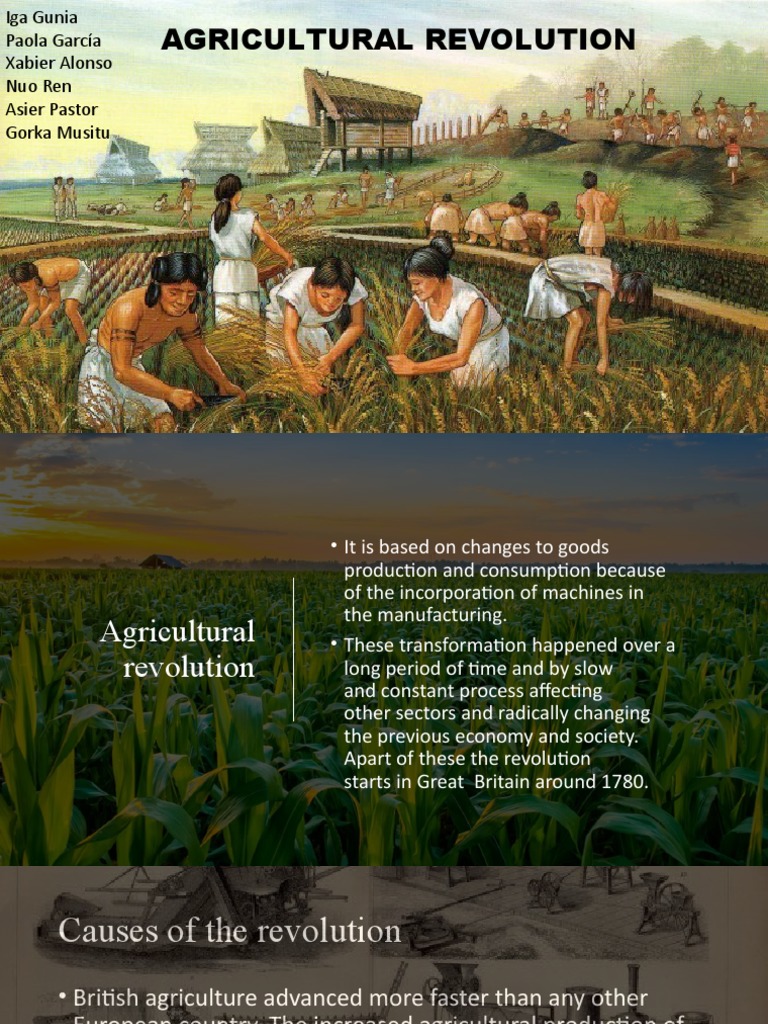 Neolithic Agricultural Revolution