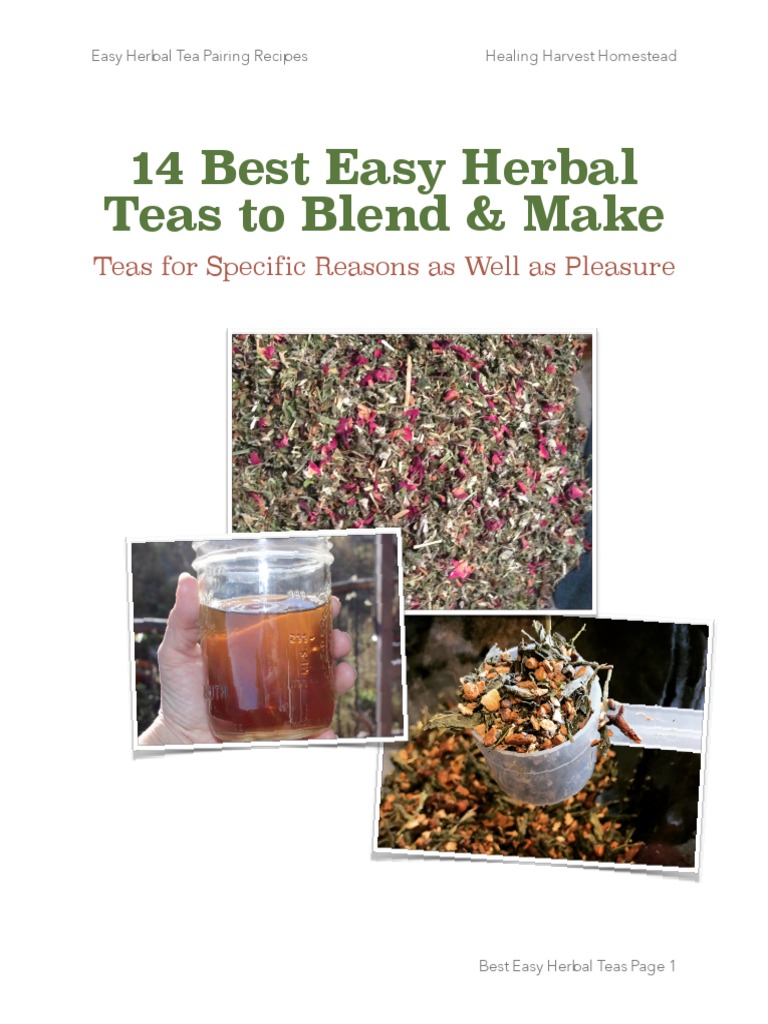 PDF Herbal Tea Pairings | PDF | Ginger | Tea