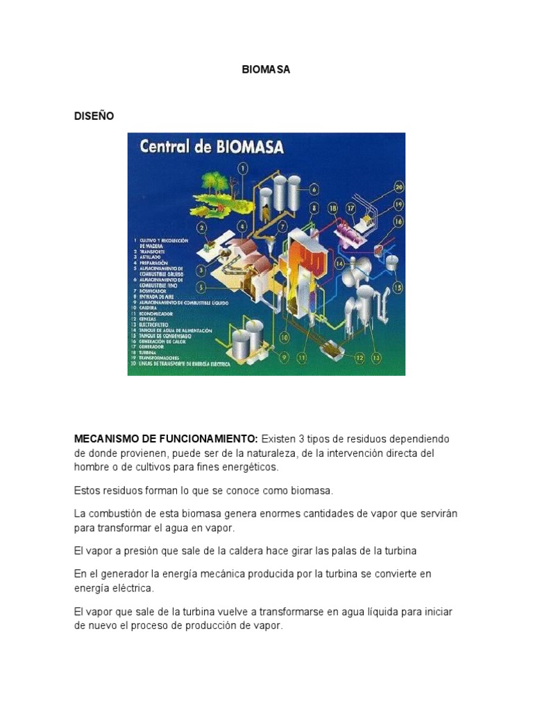 Infografia Biomasa | PDF | Bioenergía | Recursos energéticos